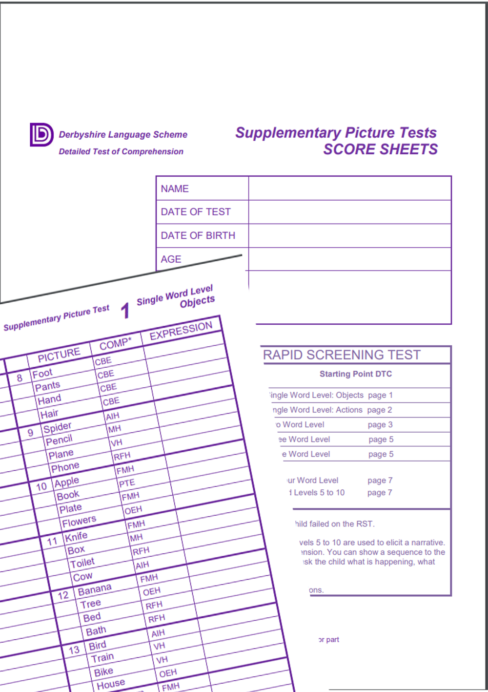 Derbyshire Language Scheme - Supplementary DTC Score Sheets